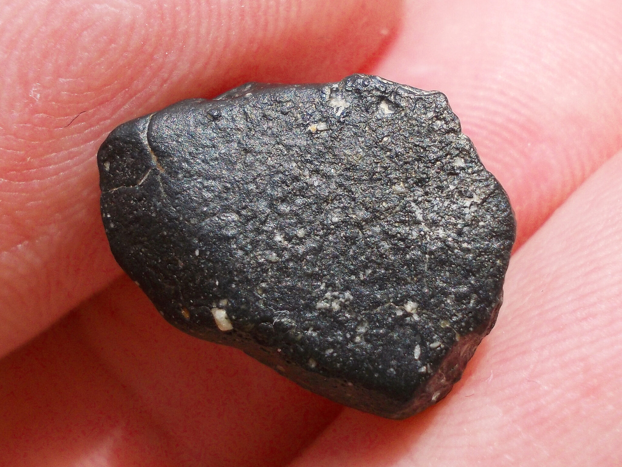 NWA 7034 (paired) Mars #2 – 2 g – Allmétéorite – Pour la Science et les ...