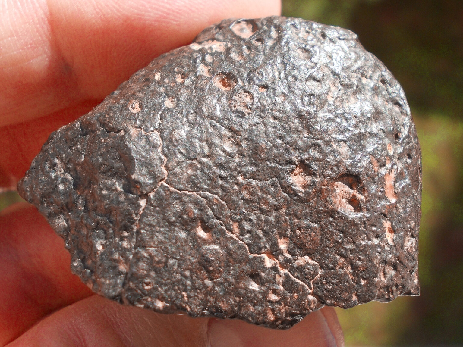 CV3 #1-79 g – Allmétéorite – Pour la Science et les Collectionneurs