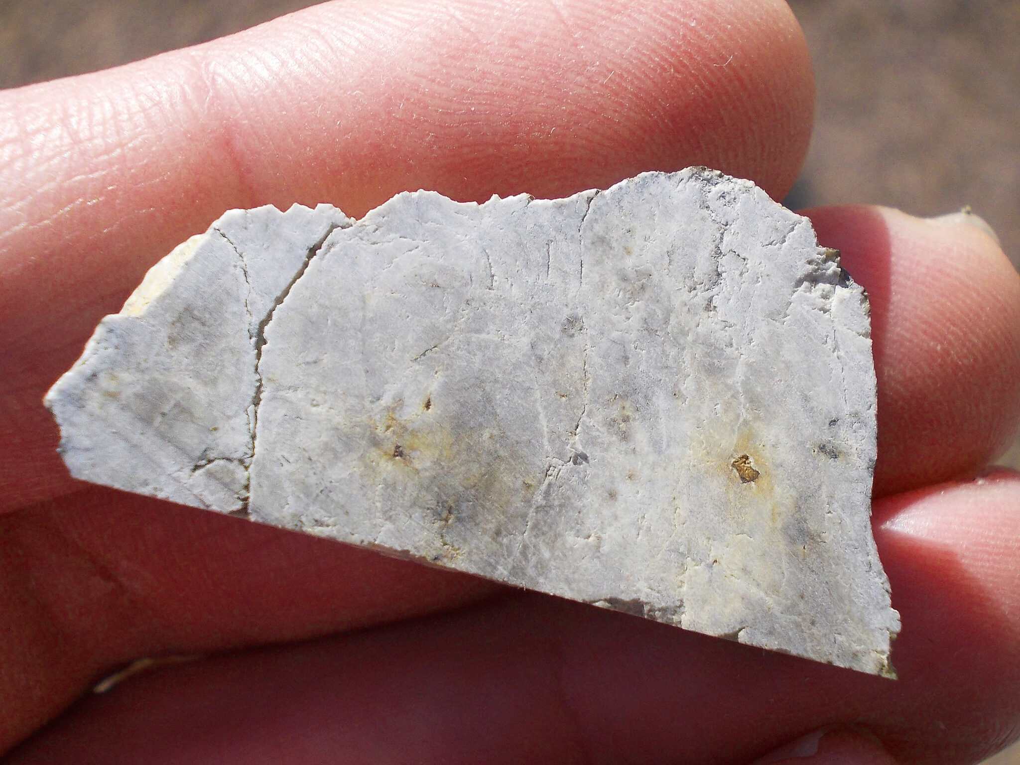 Djoua 001 #1 Aubrite (paired) – 12,4 g – Allmétéorite – Pour la Science ...