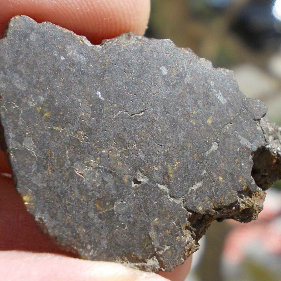 Ureilite – Allmétéorite – Pour la Science et les Collectionneurs