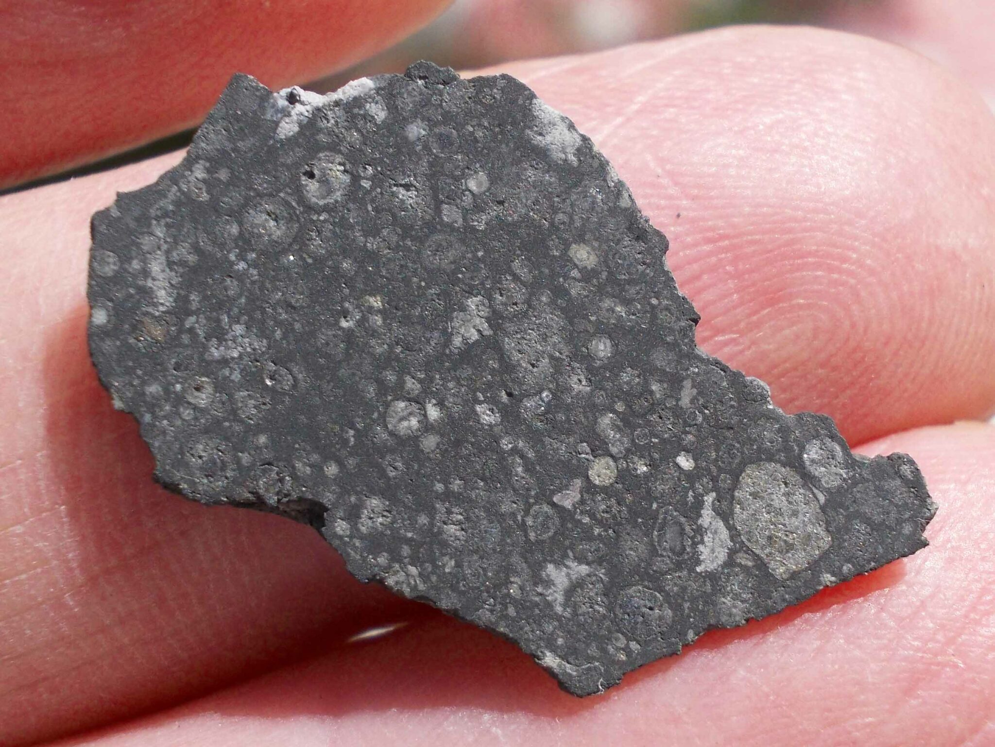 Allende CV3 #7 – 1,6 g – Allmétéorite – Pour la Science et les ...