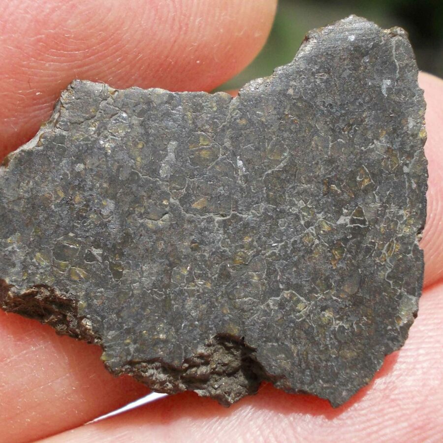 Ureilite – Allmétéorite – Pour la Science et les Collectionneurs