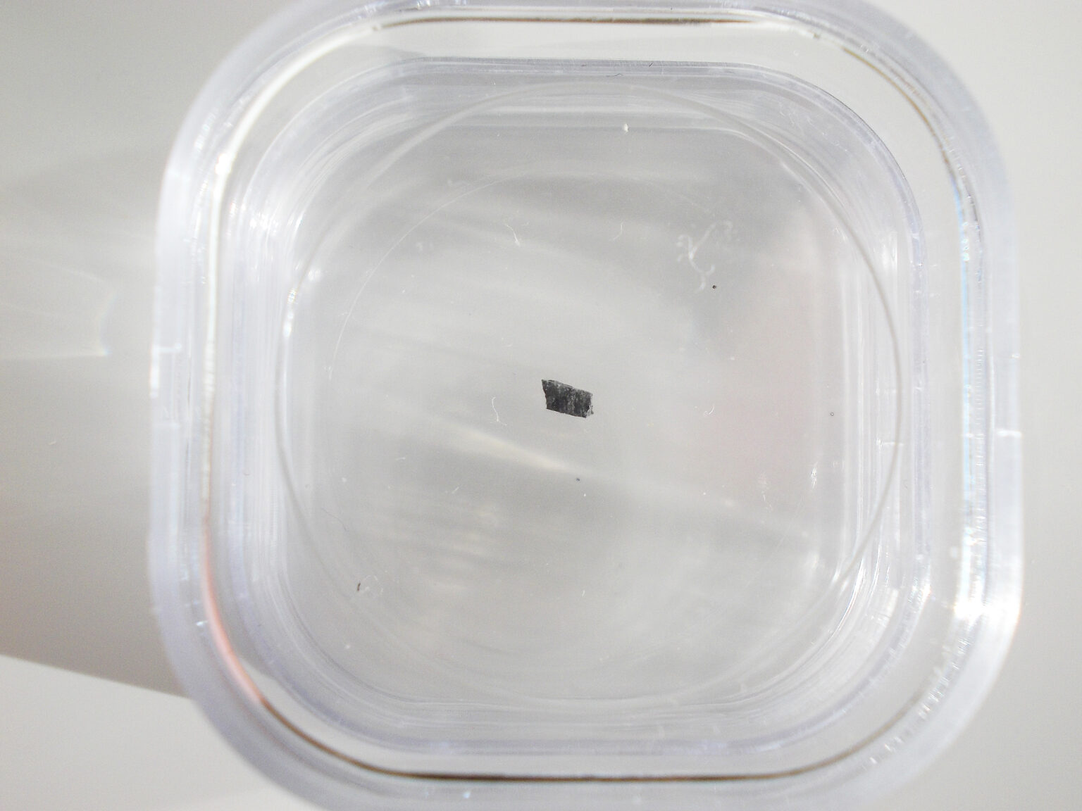 NWA 7034 (paired) Mars #16 – micro – Allmétéorite – Pour la Science et ...