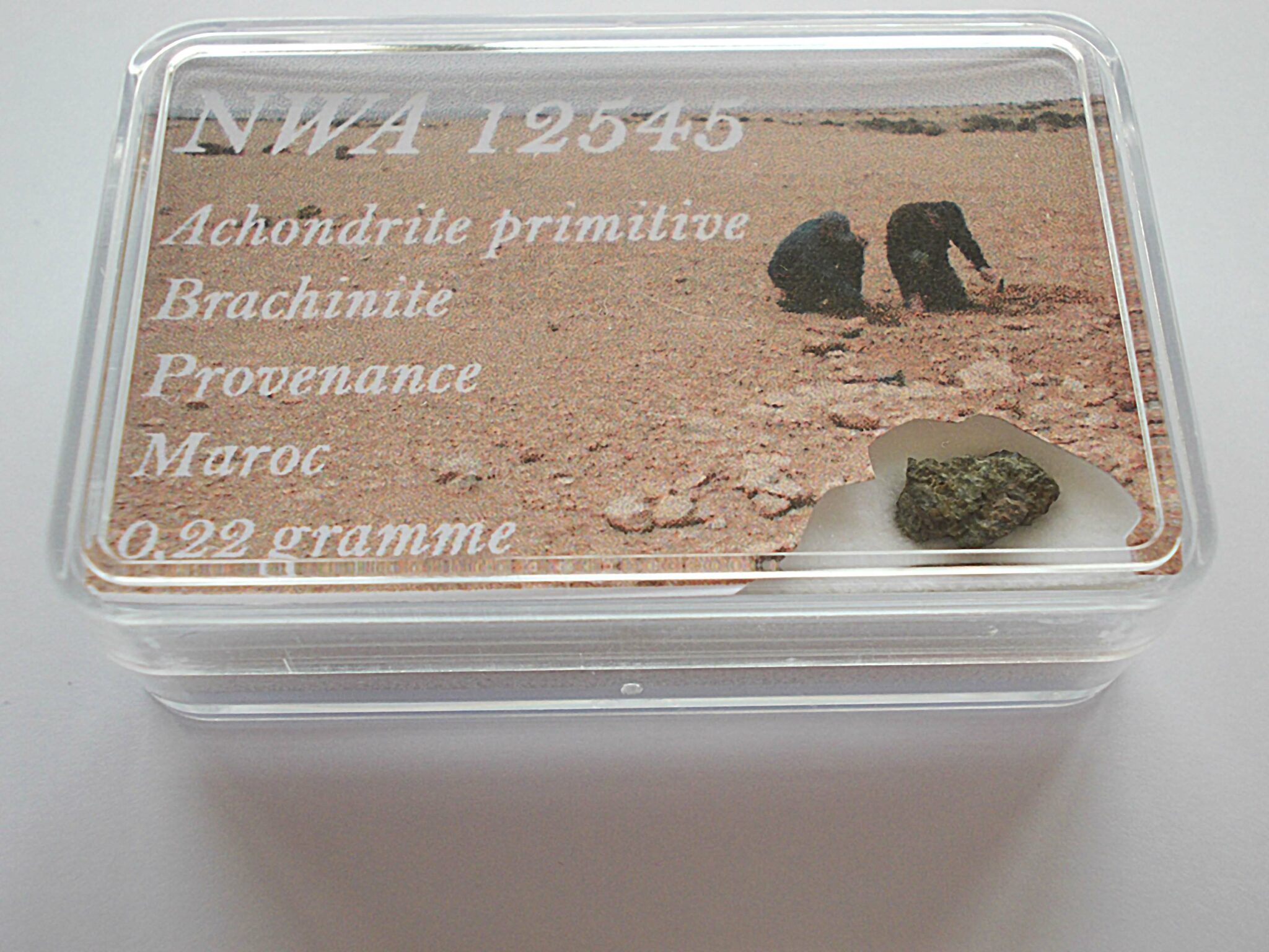 NWA 12545 #6 Brachinite – 0,22 g – Allmétéorite – Pour la Science et ...