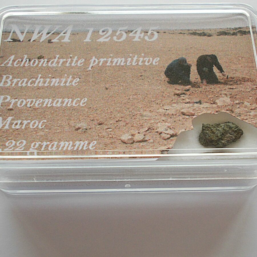 Brachinites – Allmétéorite – Pour la Science et les Collectionneurs