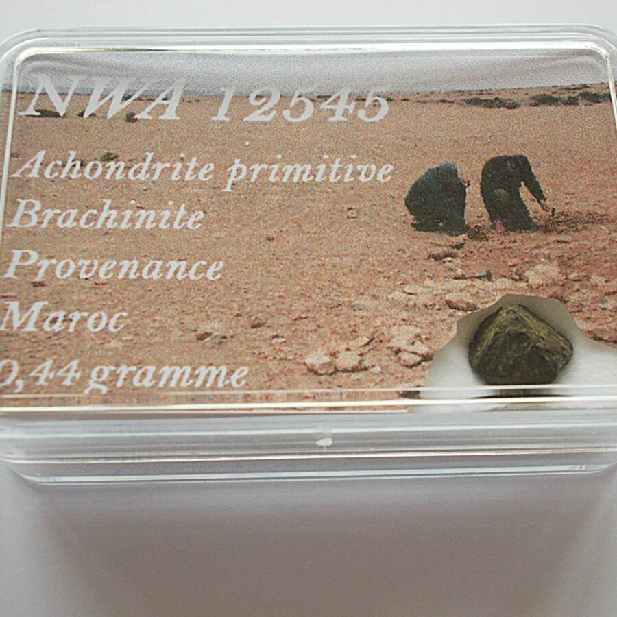 Brachinites – Allmétéorite – Pour la Science et les Collectionneurs