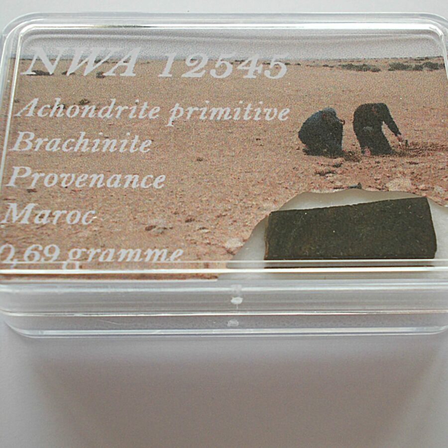 Brachinites – Allmétéorite – Pour la Science et les Collectionneurs