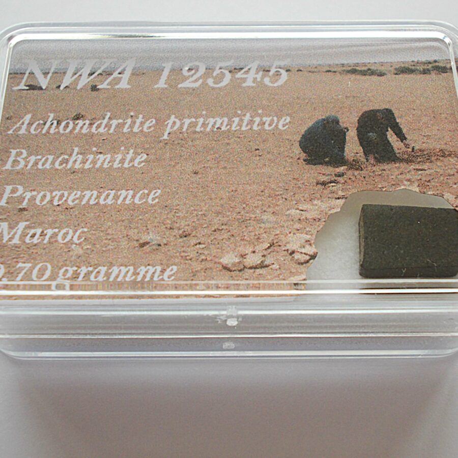 Brachinites – Allmétéorite – Pour la Science et les Collectionneurs