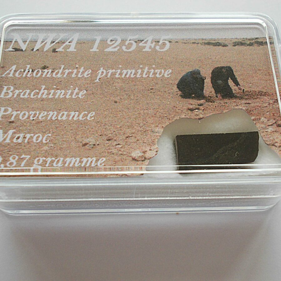 Brachinites – Allmétéorite – Pour la Science et les Collectionneurs